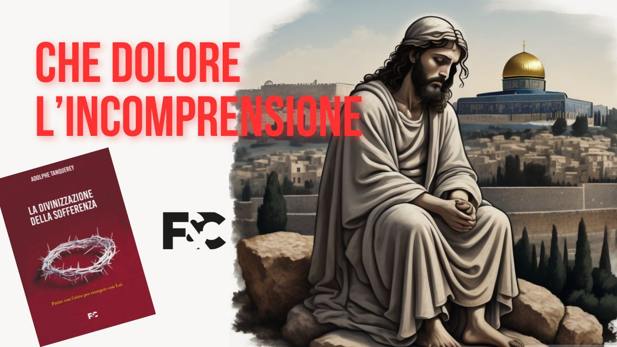 Che dolore l'incomprensione! – Fede & Cultura